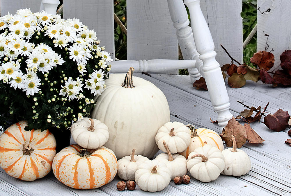 Three Trending Ways to Style Your Porch for Fall - LiveAbode