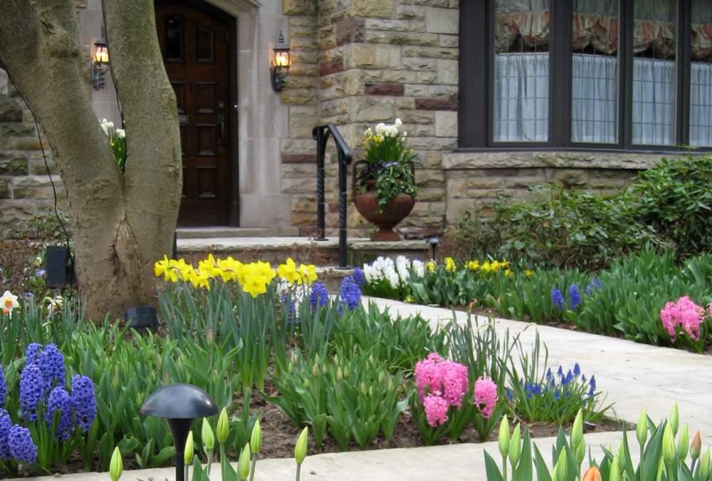 Bring on the Bold: Introduce Your Walkway to the Neighborhood | LiveAbode™